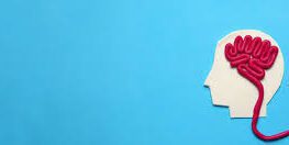 what does sh mean in mental health - Wellness Voice