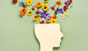 what is a rule out diagnosis in mental health - Wellness Voice